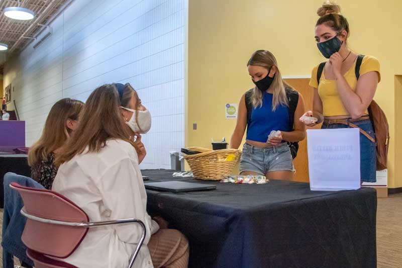 Twin Sisters on a Mission